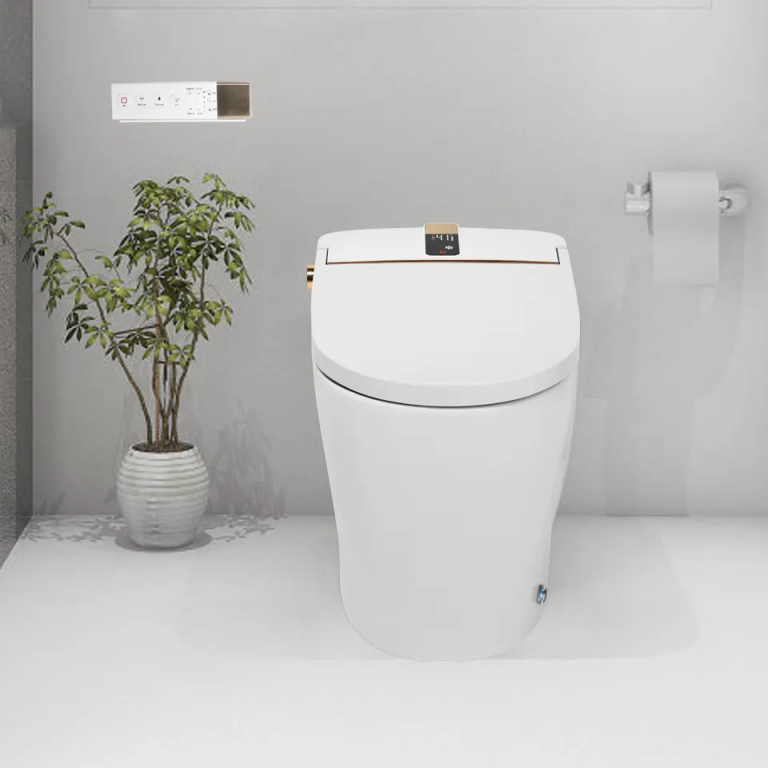 Intelligent Toilets and the Future of Smart Homes - China Smart Toilets ...