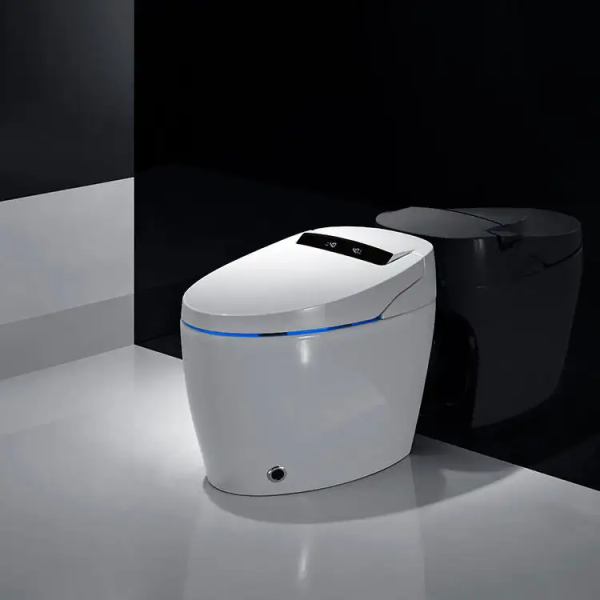 Intelligent Toilets and the Future of Sustainable Tourism - China Smart ...