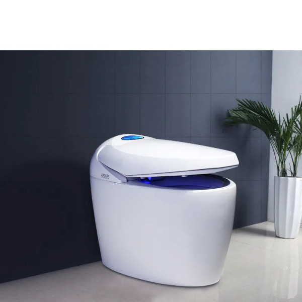 The Best Intelligent Toilets for a Japanese Bathroom - China Smart ...