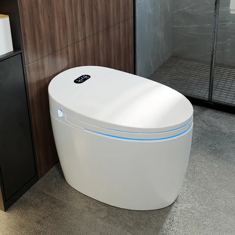 How to Install a Smart Toilet in Your Bathroom - China Smart Toilets ...